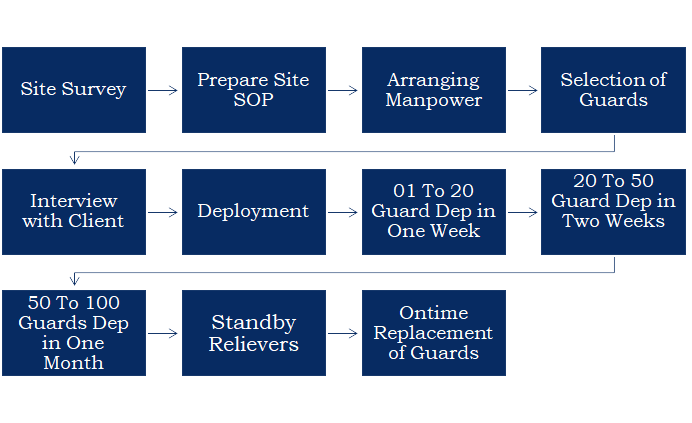 Security System Services UAE | Federal Security Services Deployment Guide